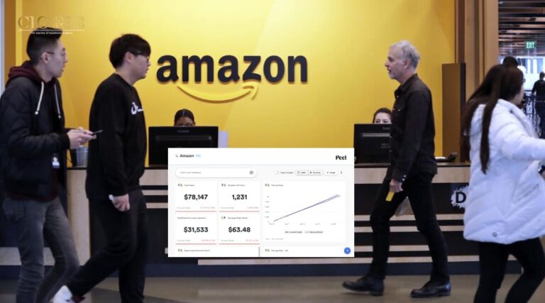 Amazon Global Employee Structure: How Built Its?